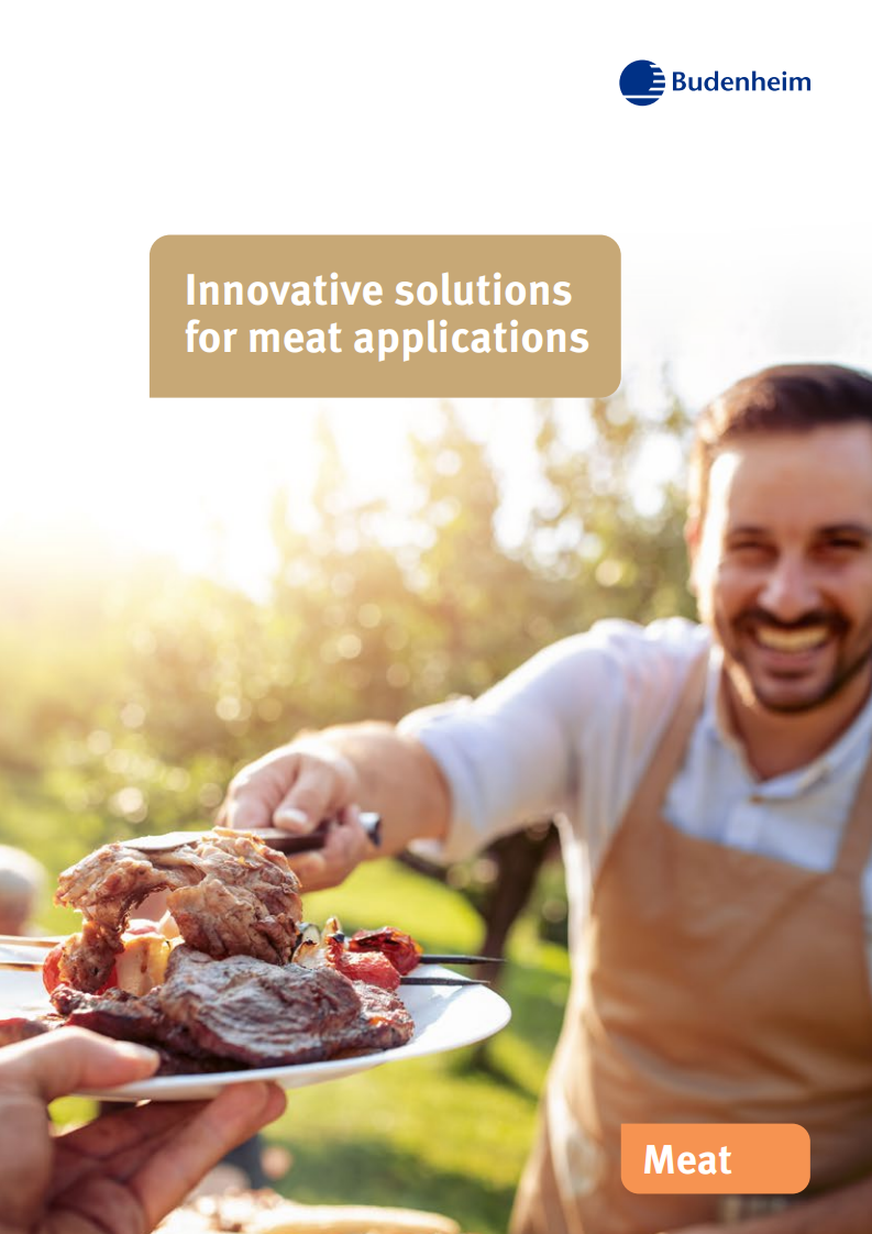 Download - Brand Overview_Innovative Solutions for Meat Applications